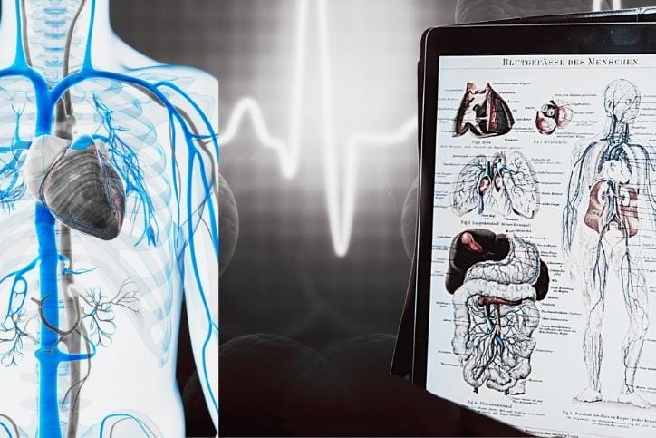 4 Anatomy And Physiology Exam GNM Institute